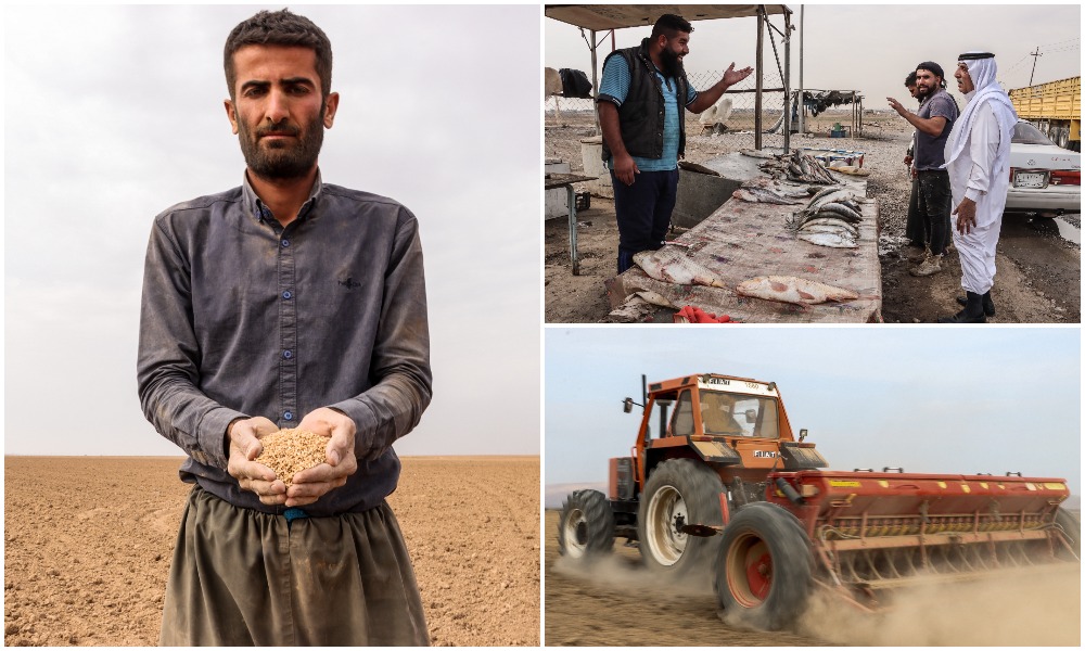 Iraqi farmers feel the heat of extreme climate events | The Foreign Code